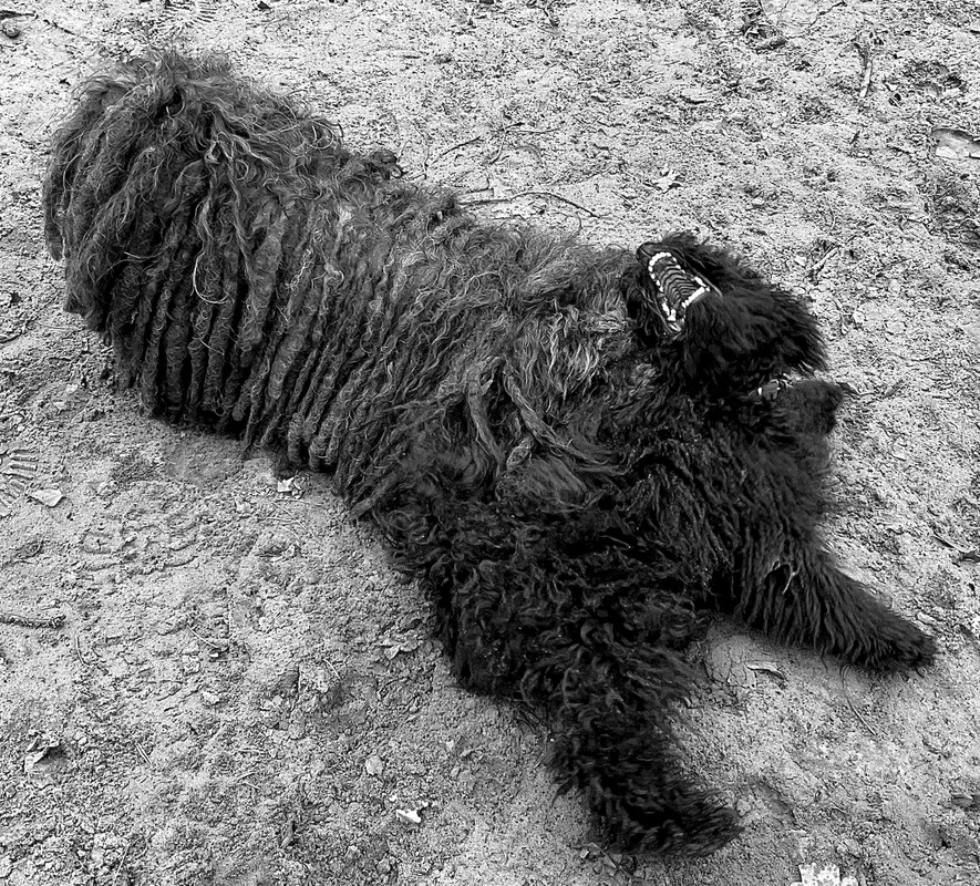 4 D3 DBF90 D5 E0 46 A6 85 AC 1 E3 D9 CB38637 — Postimages