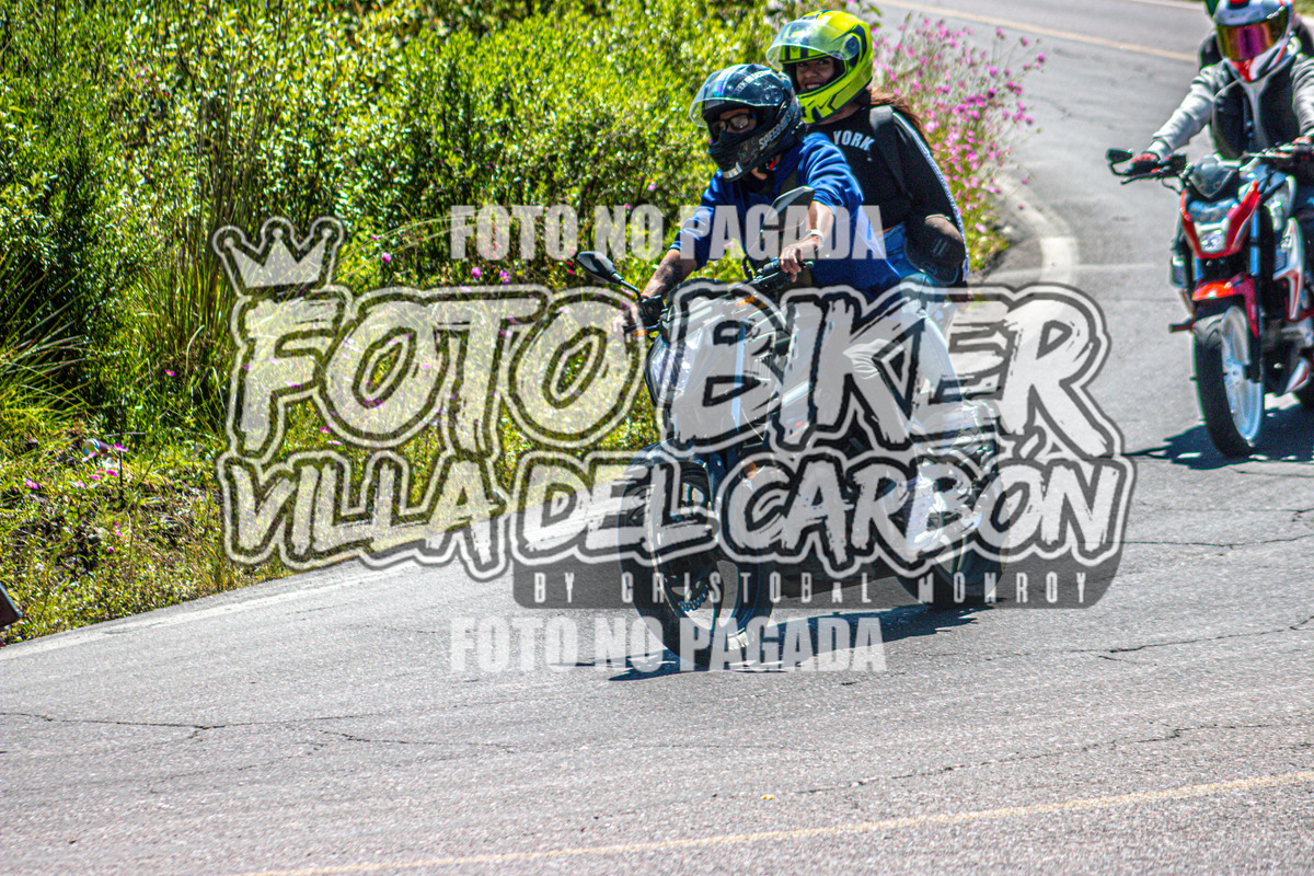 cvp2 131 — Postimages