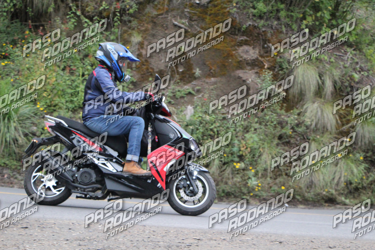 IMG 8998 wm 795120 watermarked — Postimages