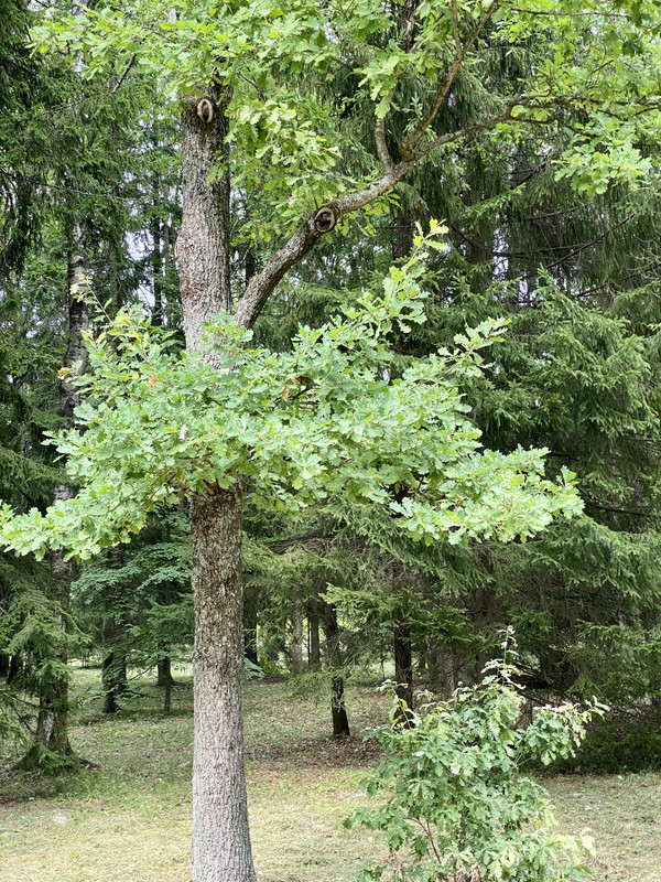 Cf7 A4 A8 E 705 A 4 F0 A 92 Dd A7765486 B992 — Postimages