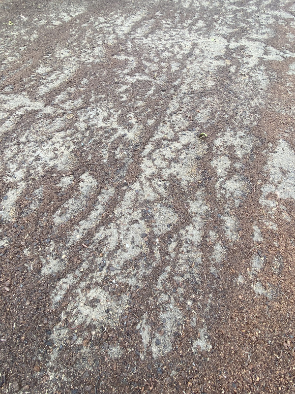 9 AC55524 8 EC7 4738 811 B 3651 EFA706 E3 — Postimages