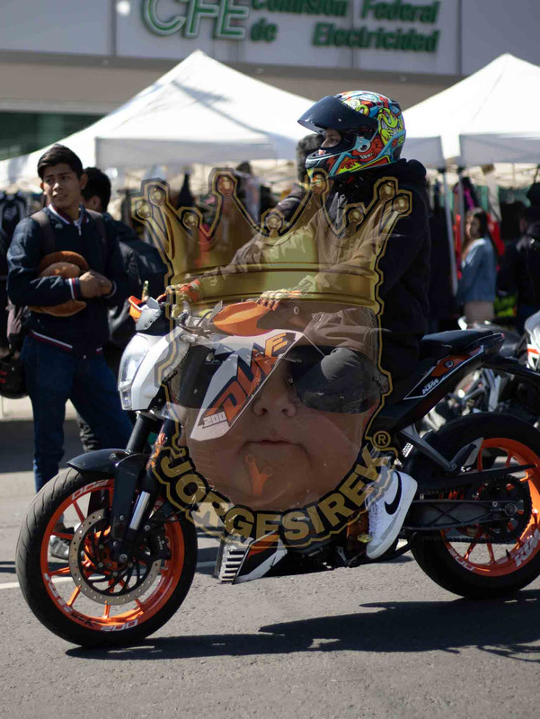 IMG 3281 — Postimages