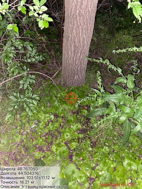 98 B17 B97 286 E 4 D43 BEE9 92 BDEB503 B3 A — Postimages