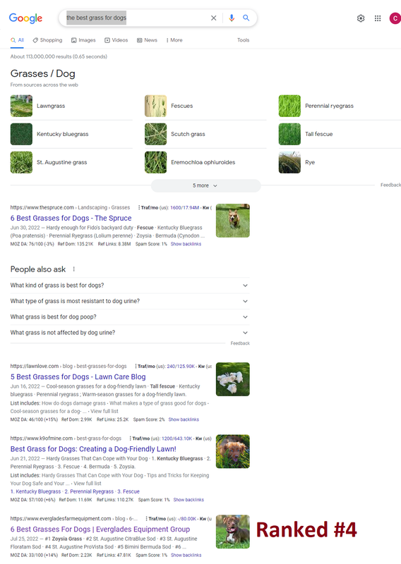 4 the best grass for dogs — Postimages