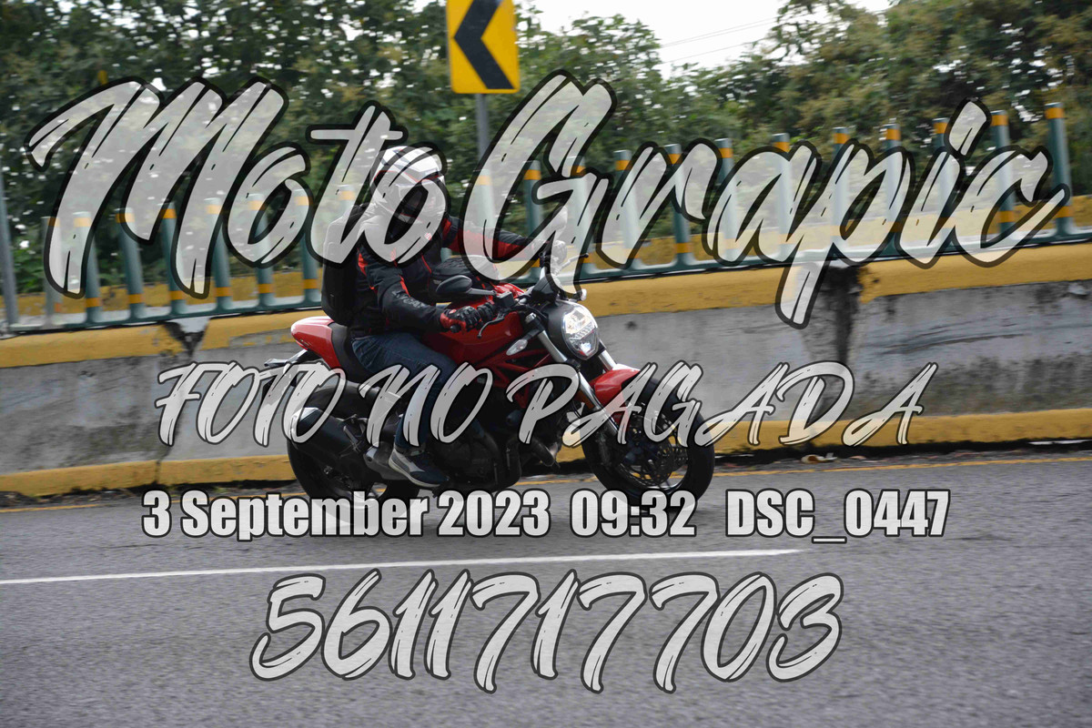 motgr DSC 0447 — Postimages