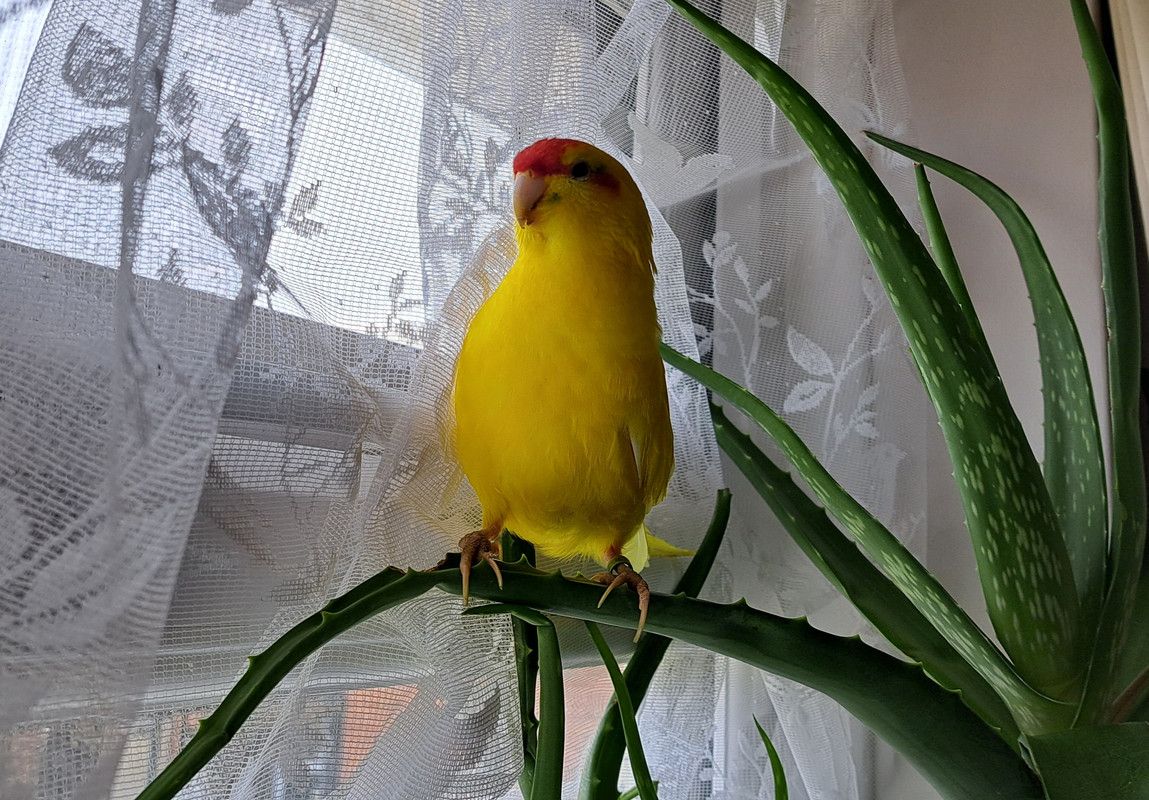 20240412 125149 — Postimages