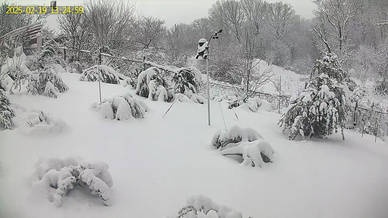 52 DA2776 CCEF 43 B5 854 E 3 D26 F0690 B80 — Postimages