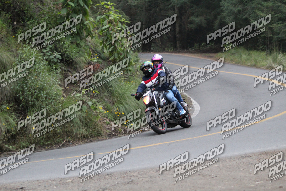 IMG 7807 wm 3061624 3999999994 watermarked — Postimages