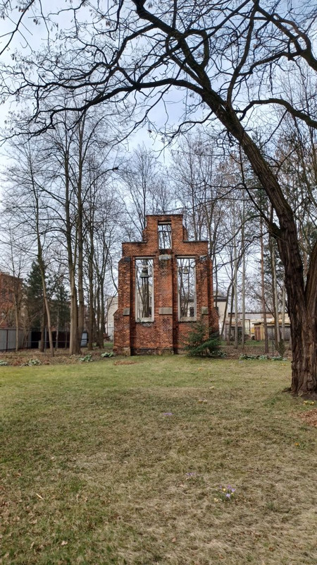 krokusy i sroka 257 — Postimages