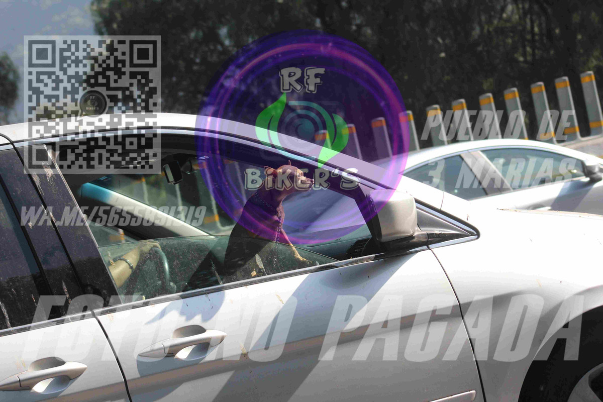 batch IMG 0834 — Postimages