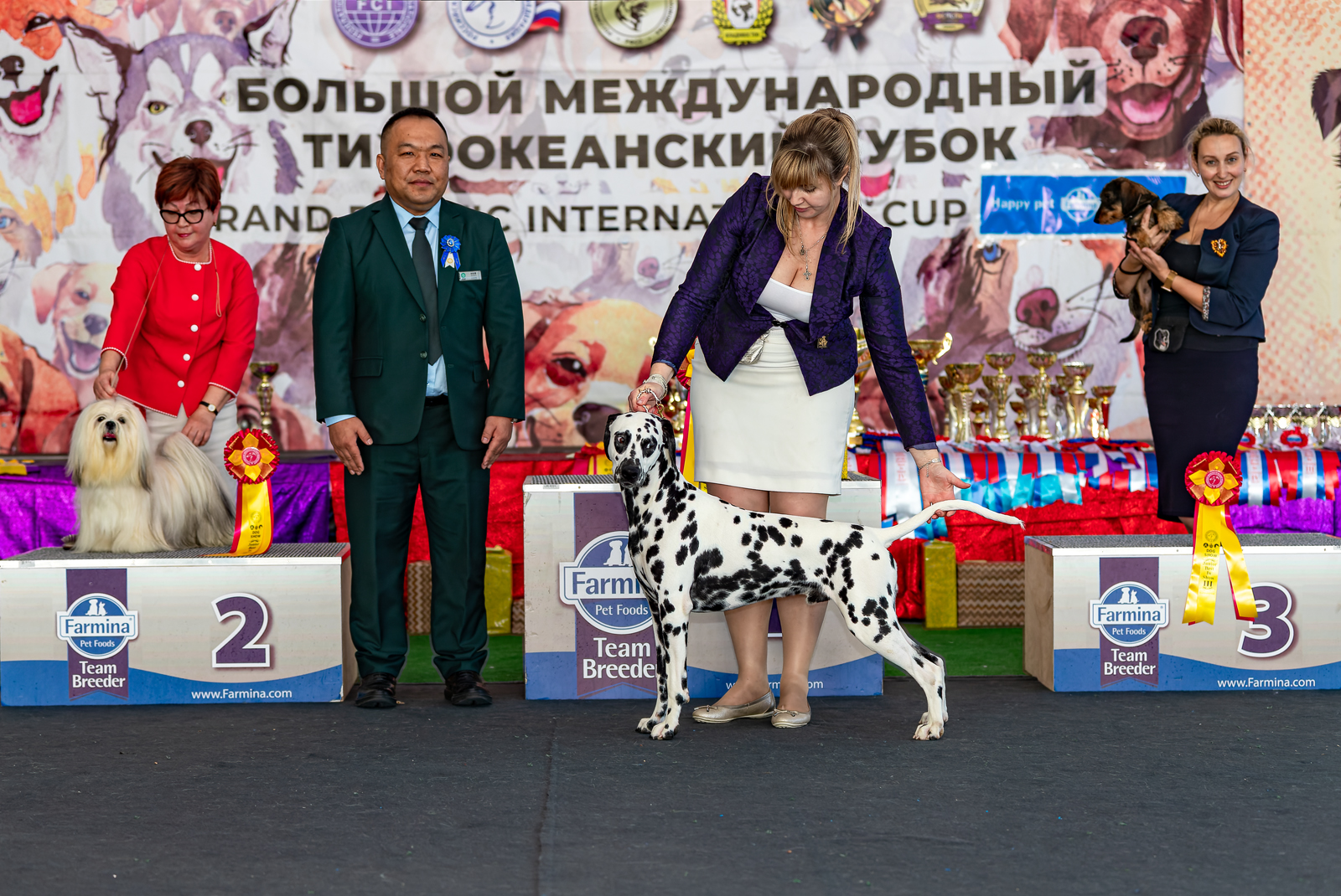 01 309 — Postimages