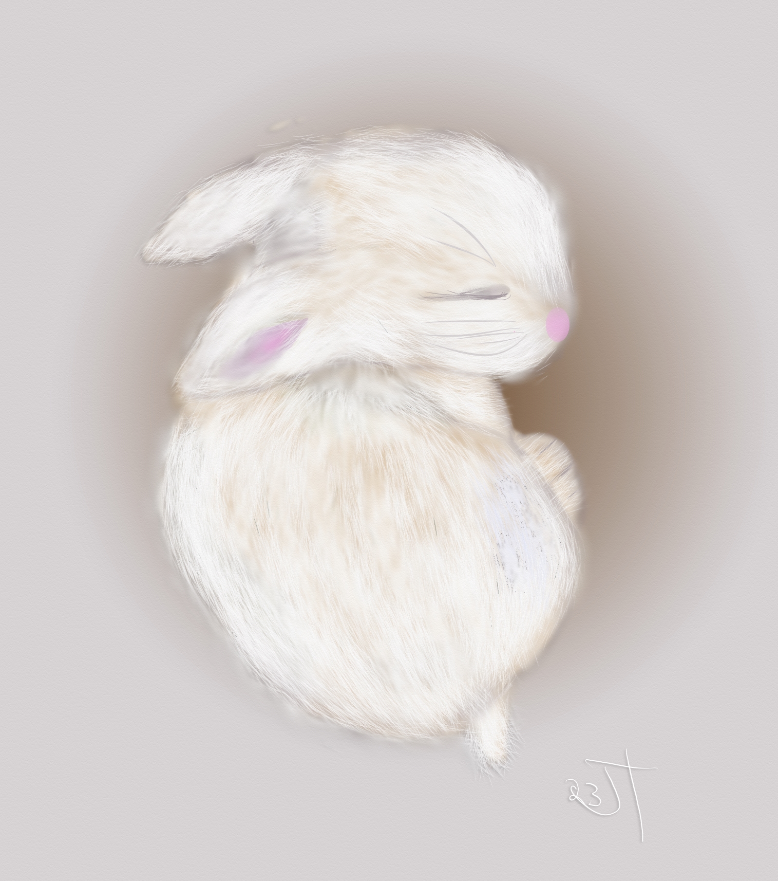 Bunny Kit — Postimages