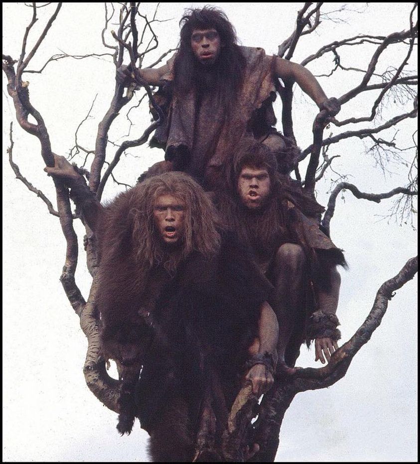 Tree huggers — Postimages