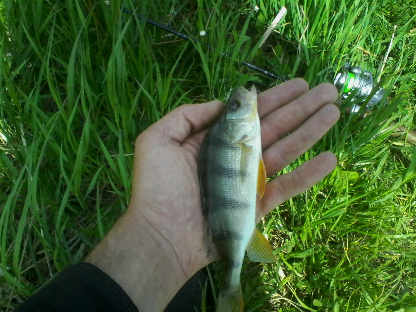 IMG 20180604 154041 — Postimages