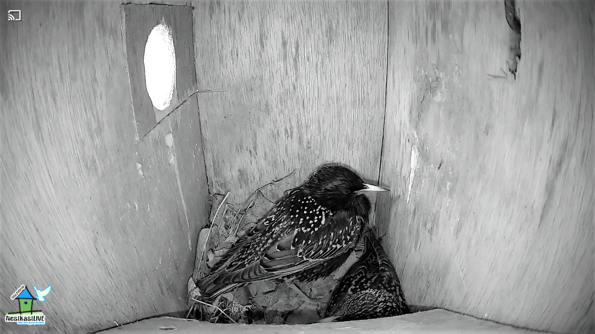 2023 03 30 (5) — Postimages