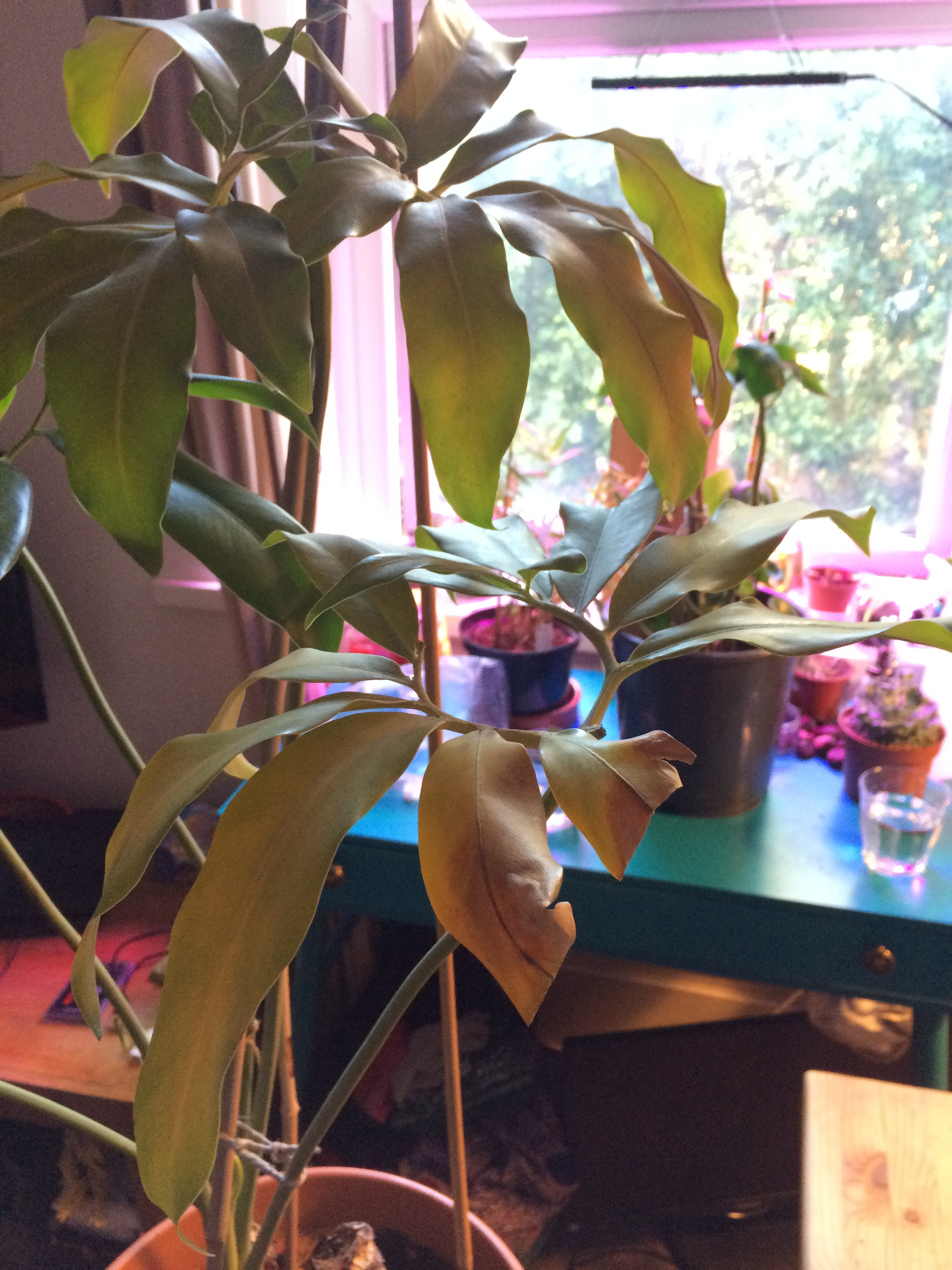 IMG 3760 — Postimages