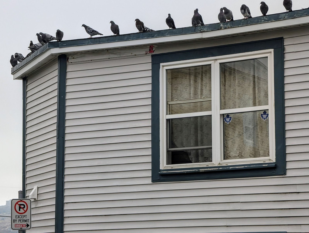 PXL 20240918 092508520 MP 2 — Postimages