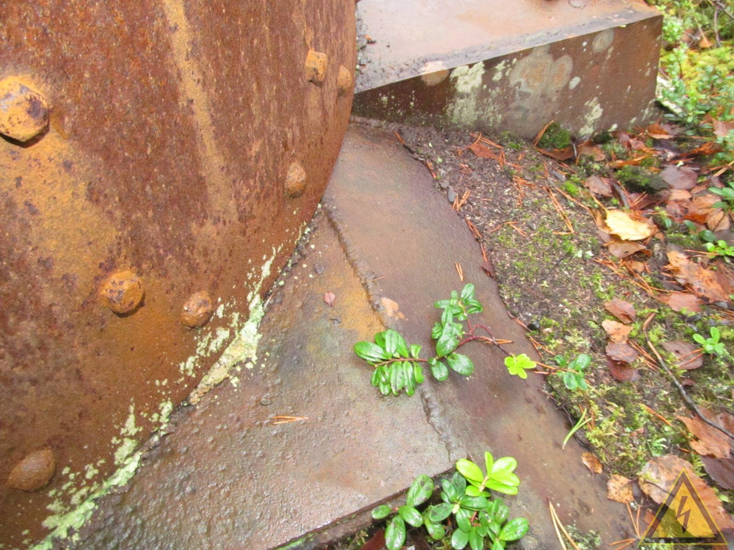 IMG 1243 — Postimages