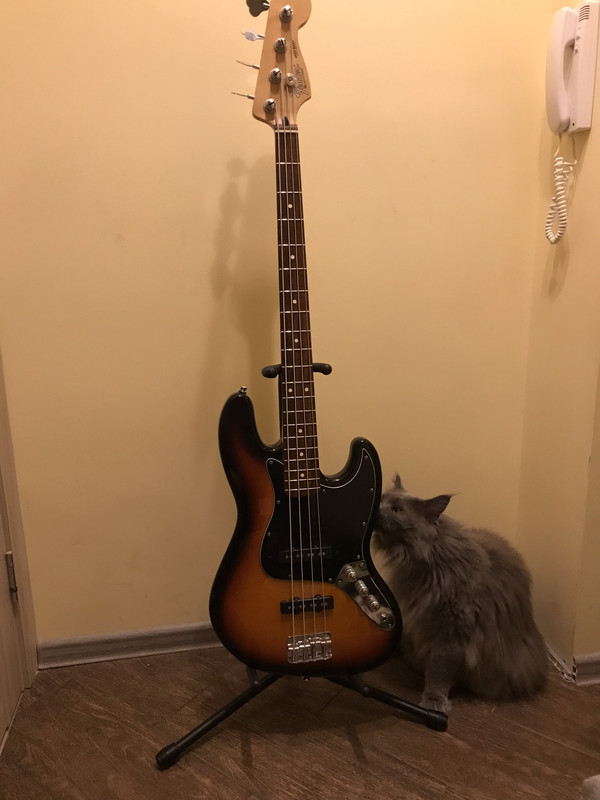 IMG 0738 — Postimages