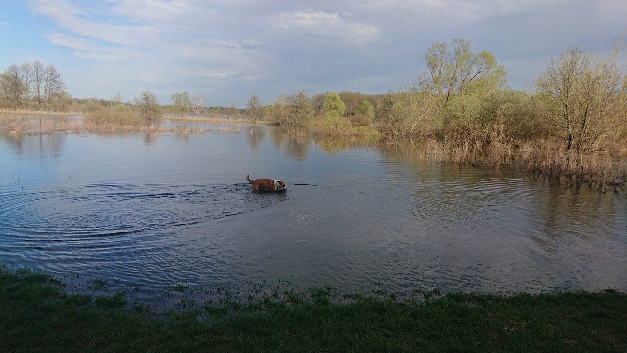 DSC 0505 — Postimages