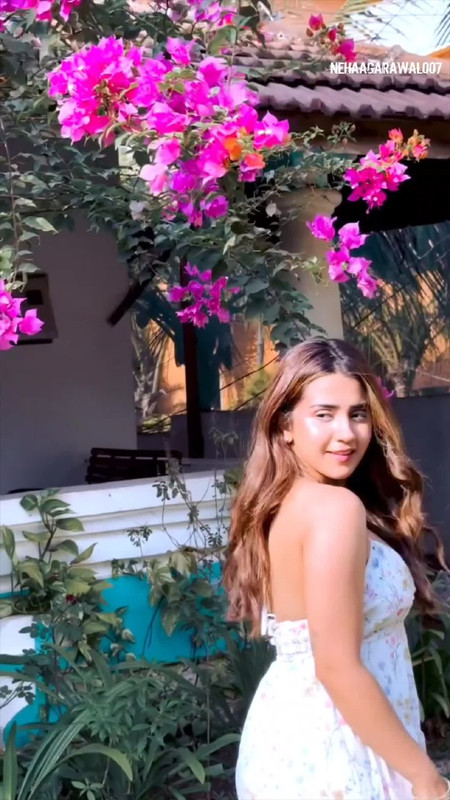 IMG 20250304 235331 132 — Postimages