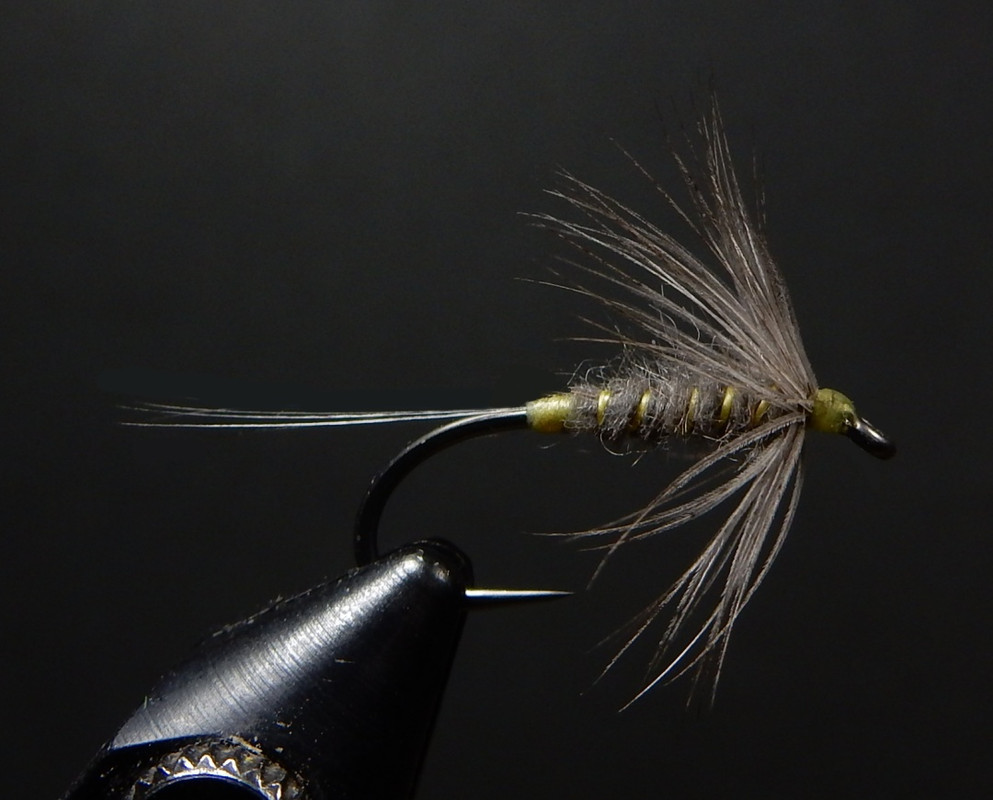 What Are You Tying Today? | Page 8 | Paflyfish