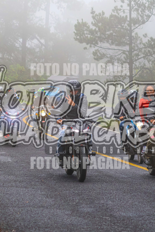 cartlz6 3000 — Postimages