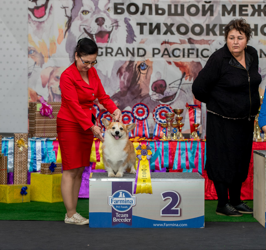 30 1202 — Postimages