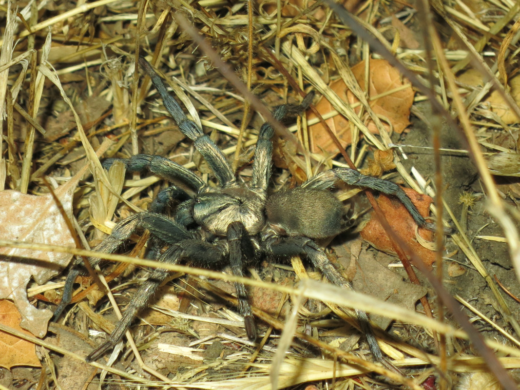 IMG 8971 — Postimages