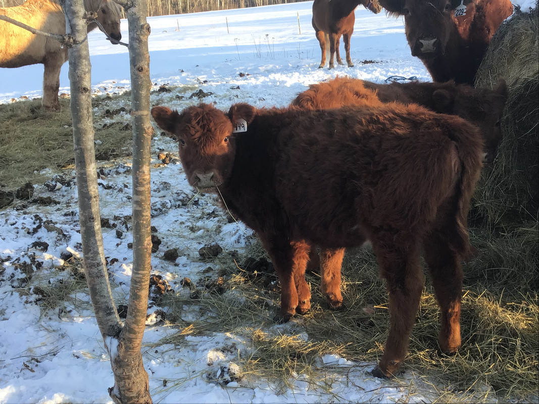 8455 C619 346 B 46 F0 90 B5 9 EDB60 BE0537 — Postimages