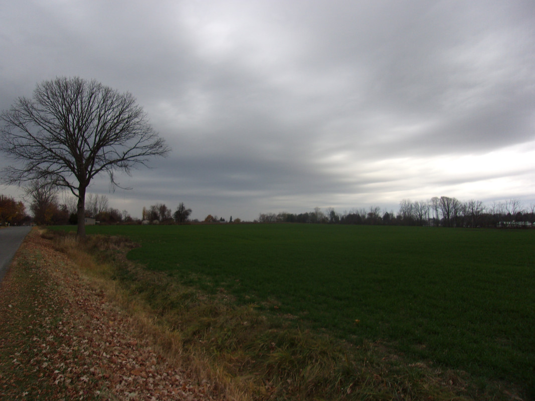 RunningAHEAD - Topic: Shivery November