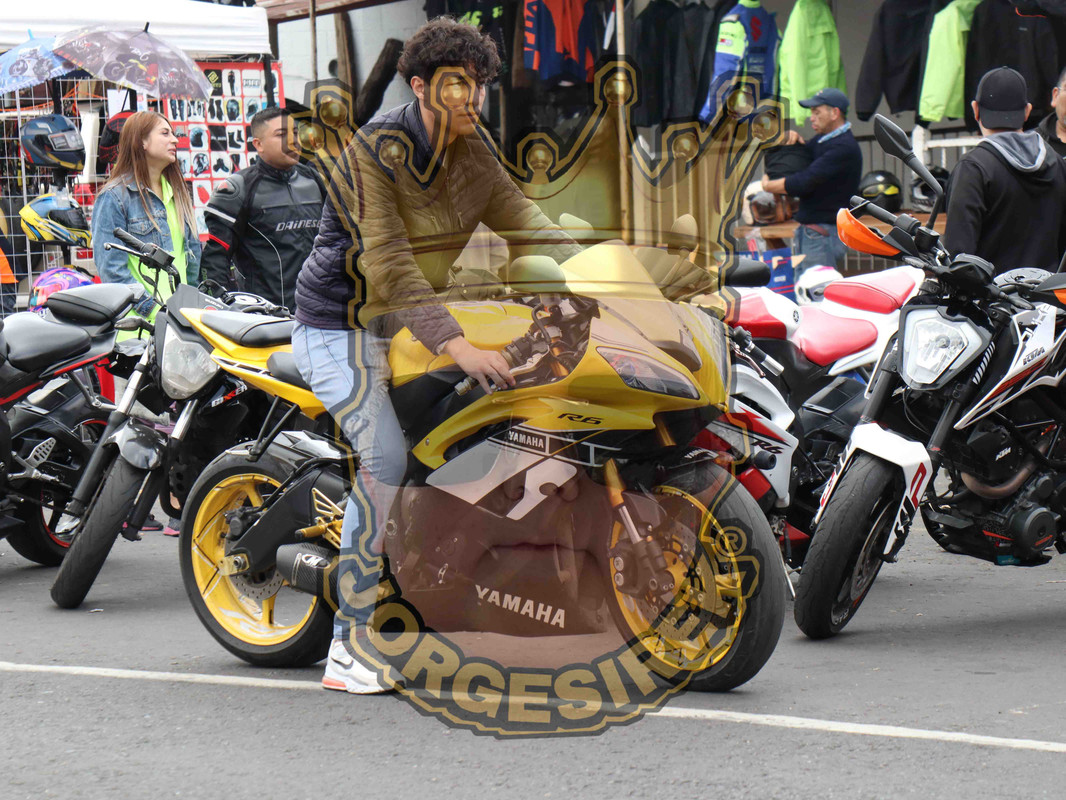 IMG 1196 — Postimages