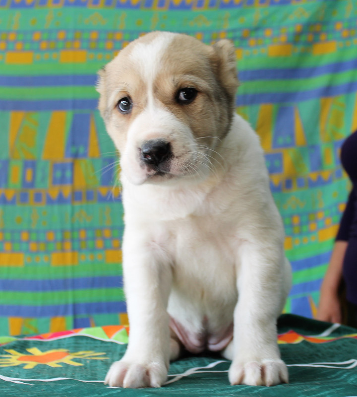 IMG 2997 — Postimages