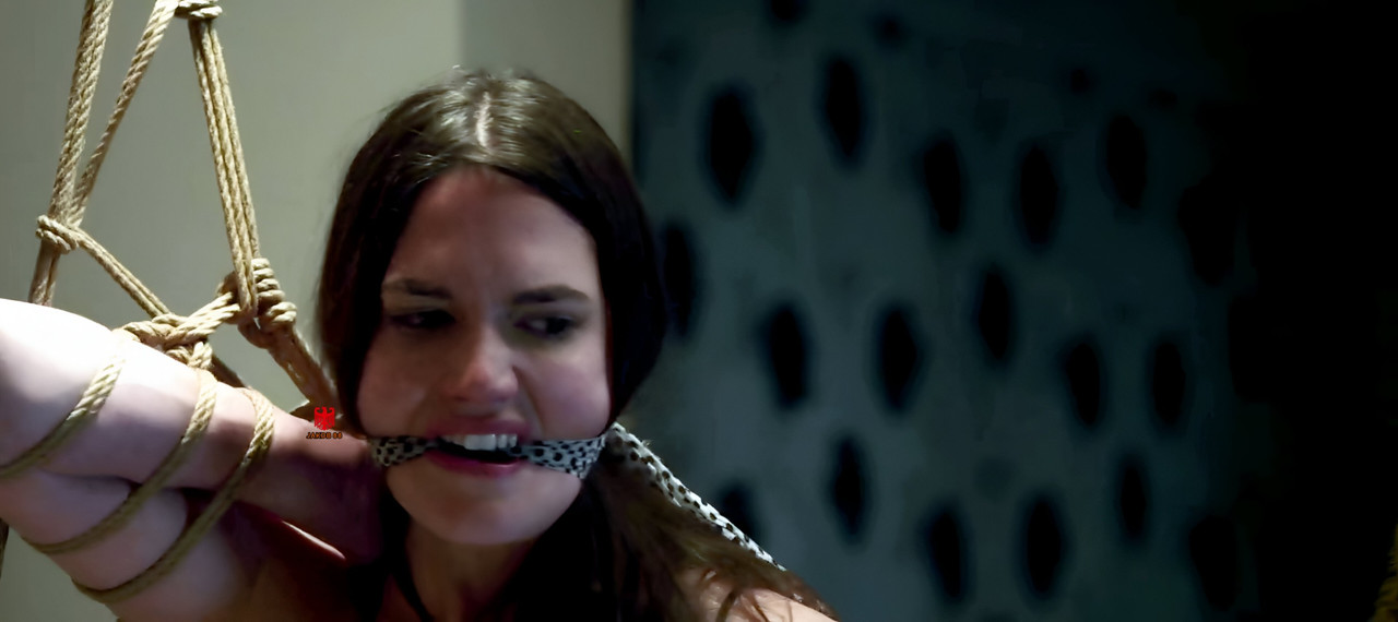 Megan Maczko 32 Deadly Virtues Love Honour Obey 2015 — Postimages