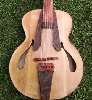 Unusual / Alternative F-Holes? | TalkBass.com