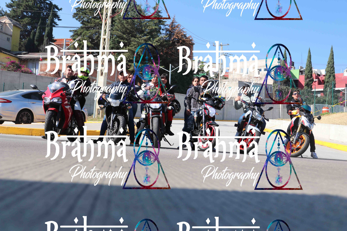 IMG 8703 — Postimages