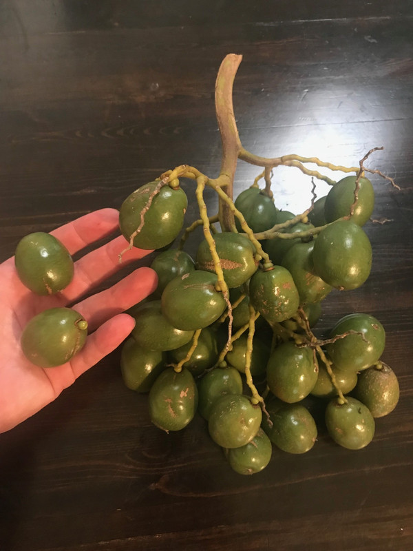 IMG 5136 — Postimages