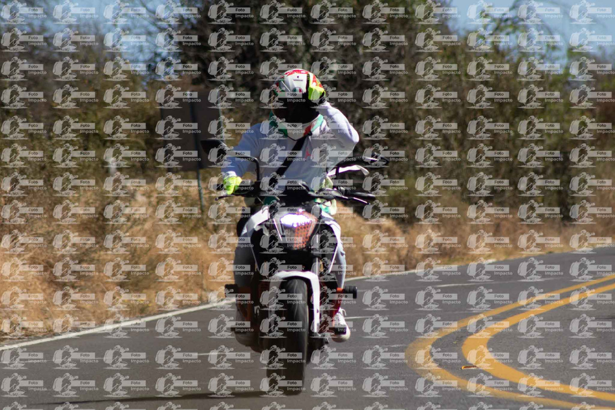 MG 8288 — Postimages