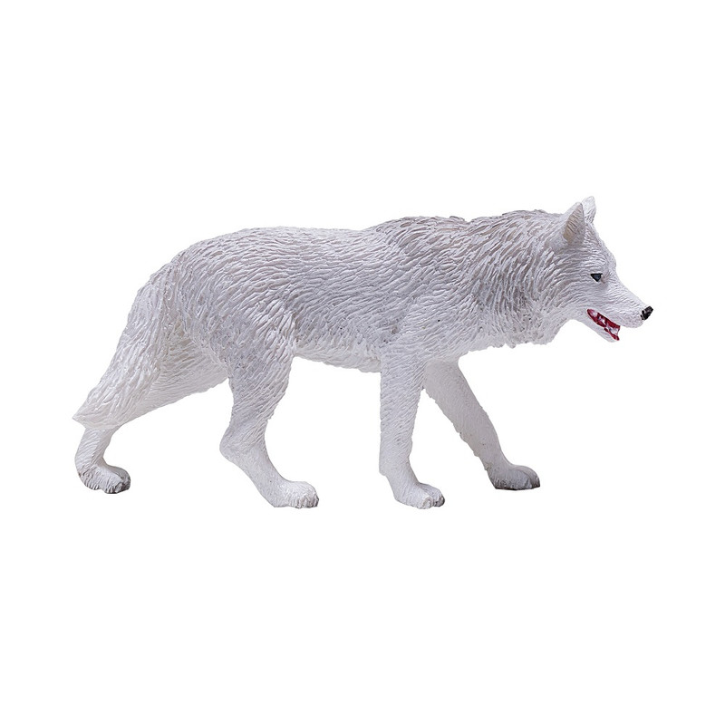 Mojo Fun - New for 2022