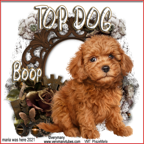 Boop Top Dog — Postimages