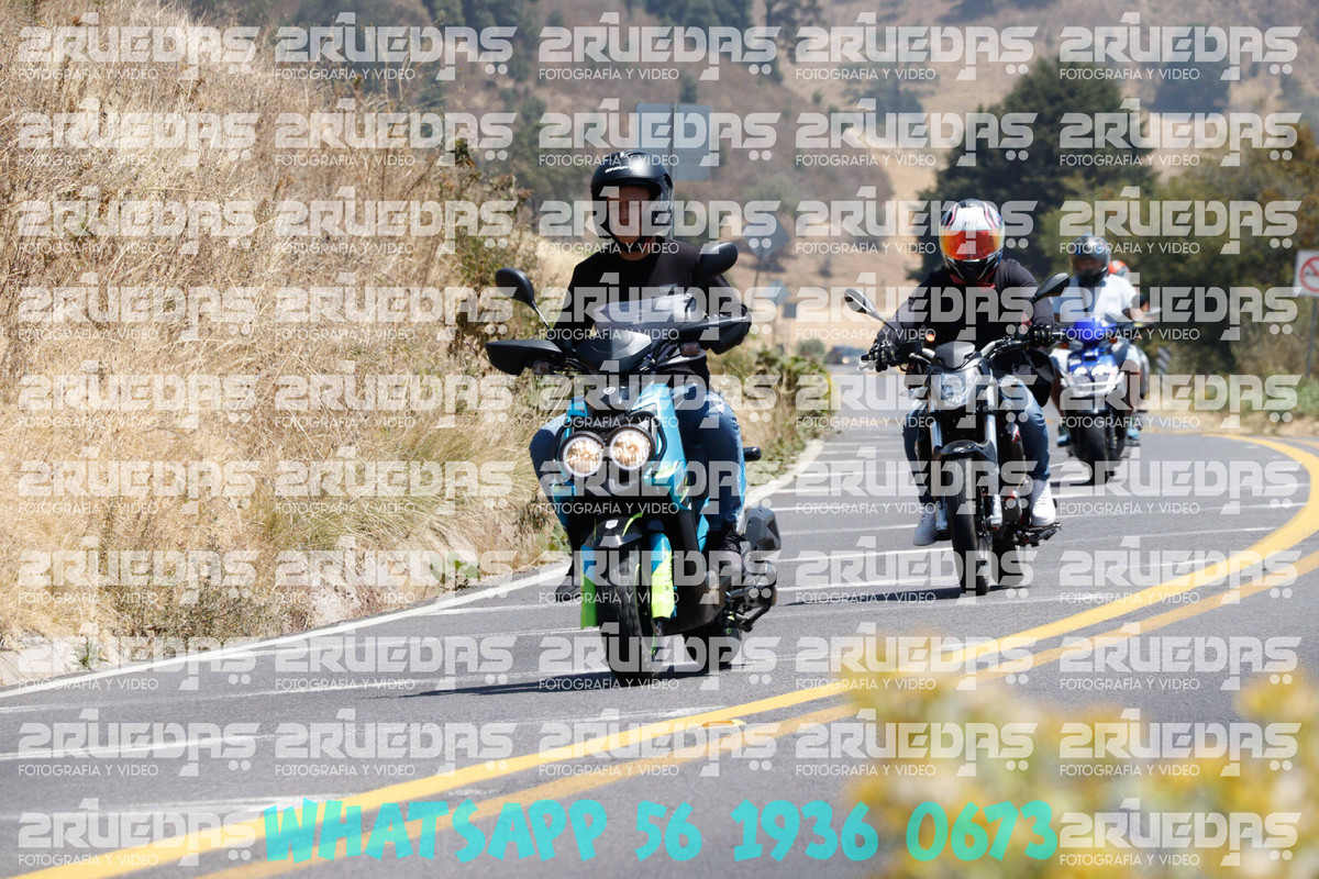 MG 1056 — Postimages