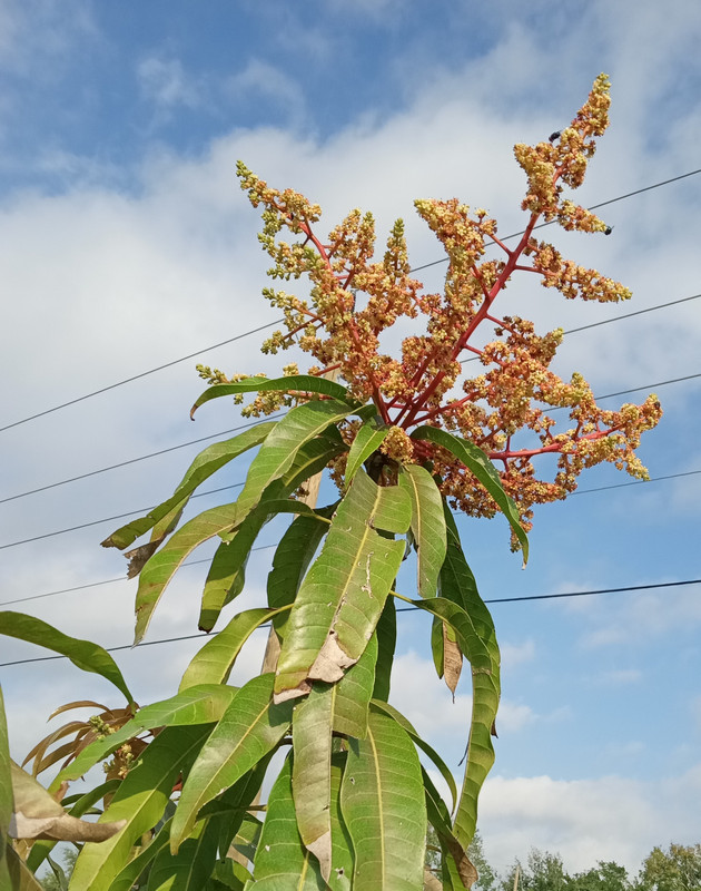 IMG 20230303 084224608 3 — Postimages