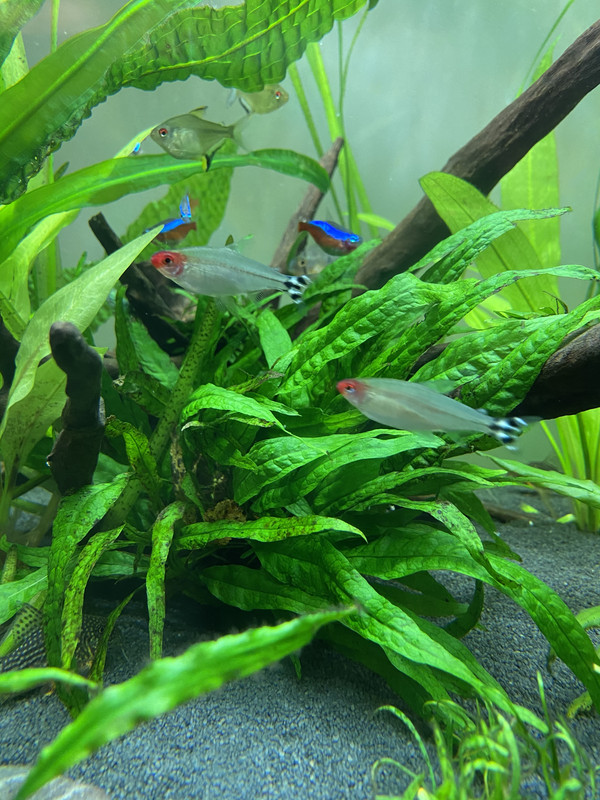 5 A4358 CA C06 E 4 C4 E AB75 3 AC978033726 — Postimages