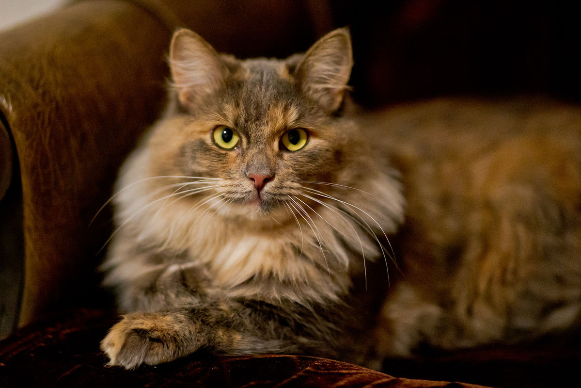 IMG 9601 — Postimages