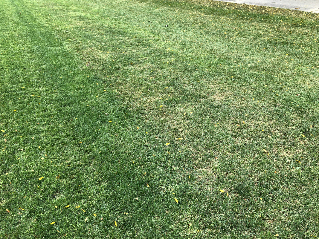 IMG 2014 — Postimages