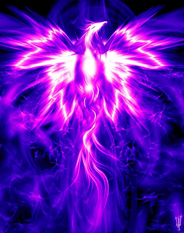 Purple phoenix — Postimages