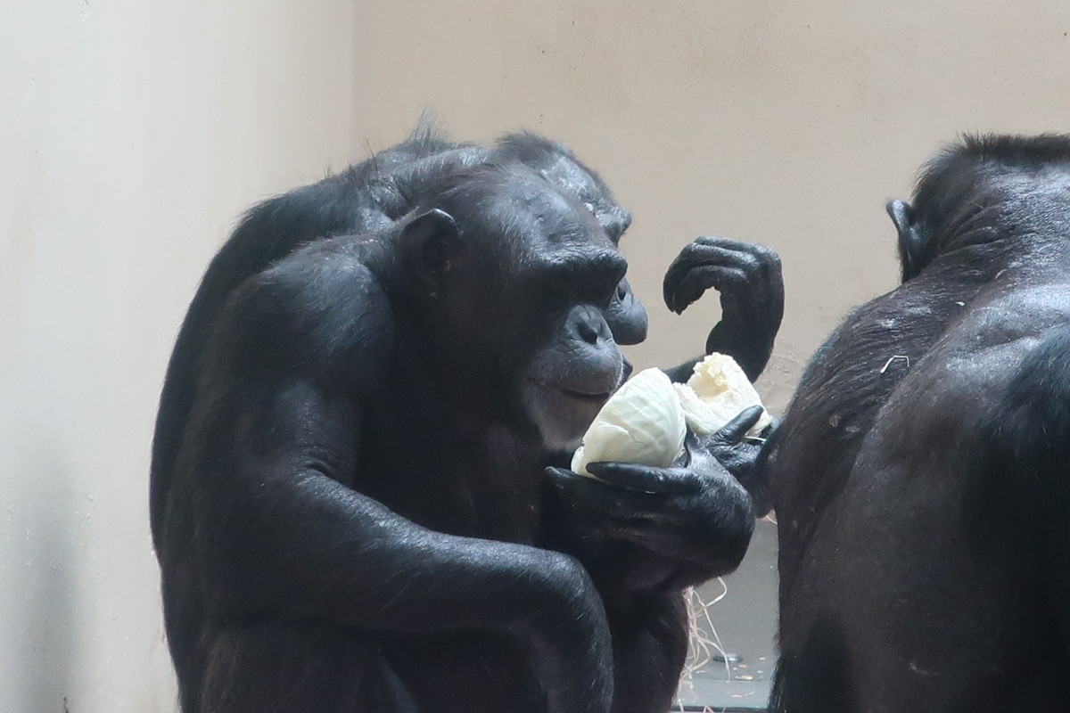 IMG 2378 — Postimages