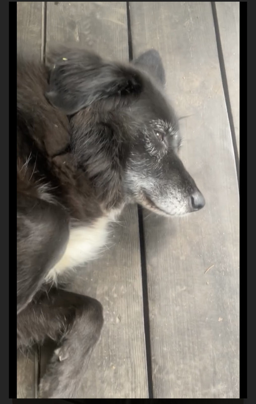 IMG 8594 — Postimages