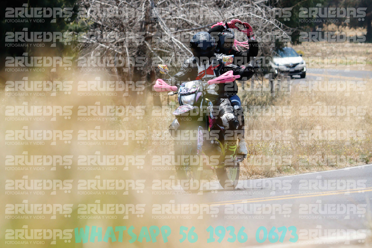 MG 1026 — Postimages