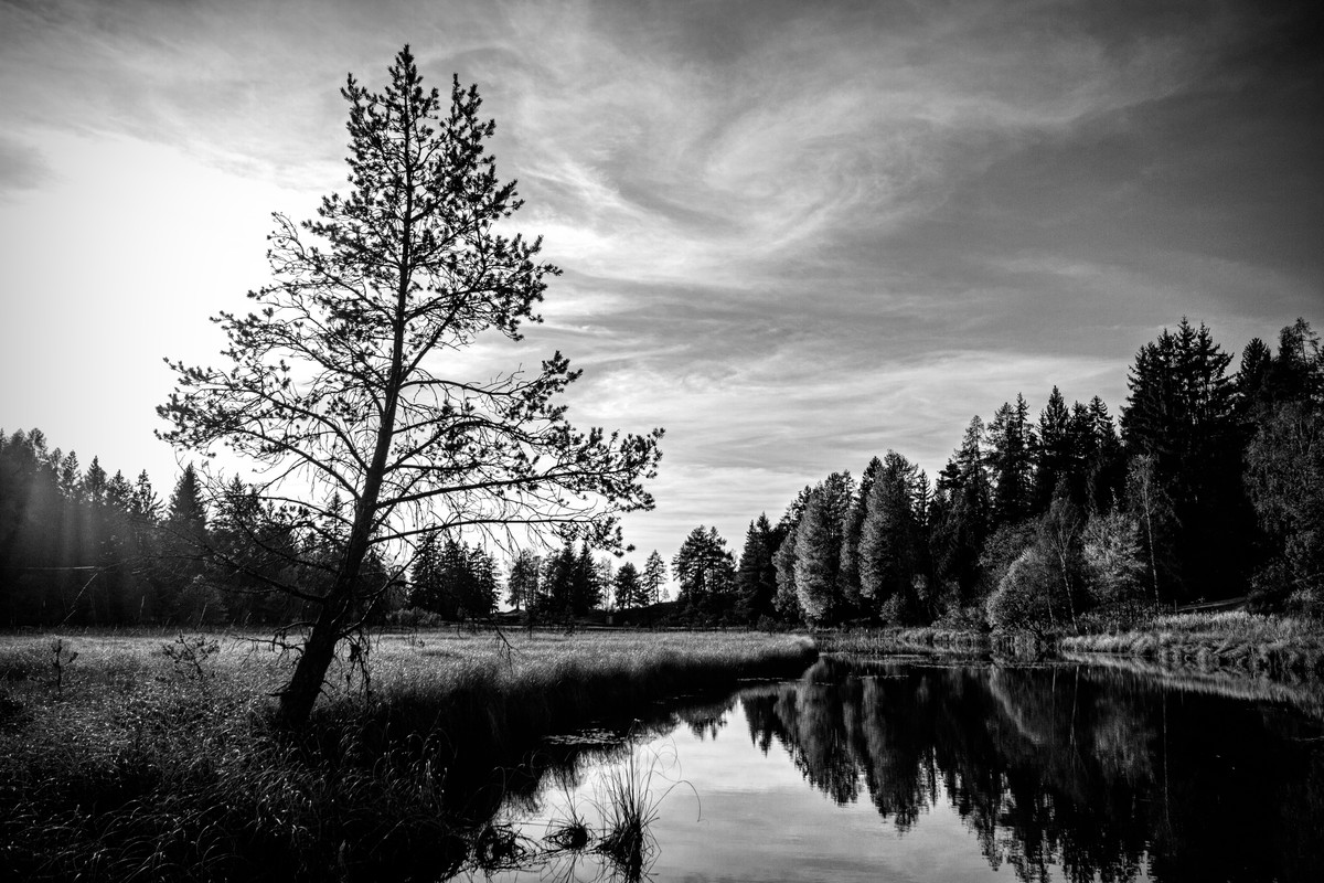 BN Top — Postimages